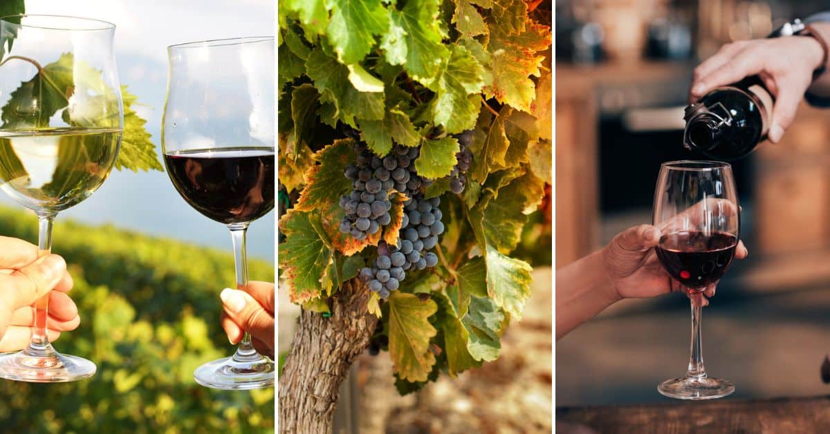 13 Best Restaurants in LoHi Denver - Delightfully Denver